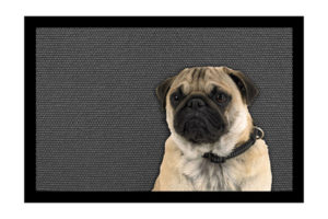 Fotomatte Deco Wash Mops - günstig und gut | Wohnen à la carte